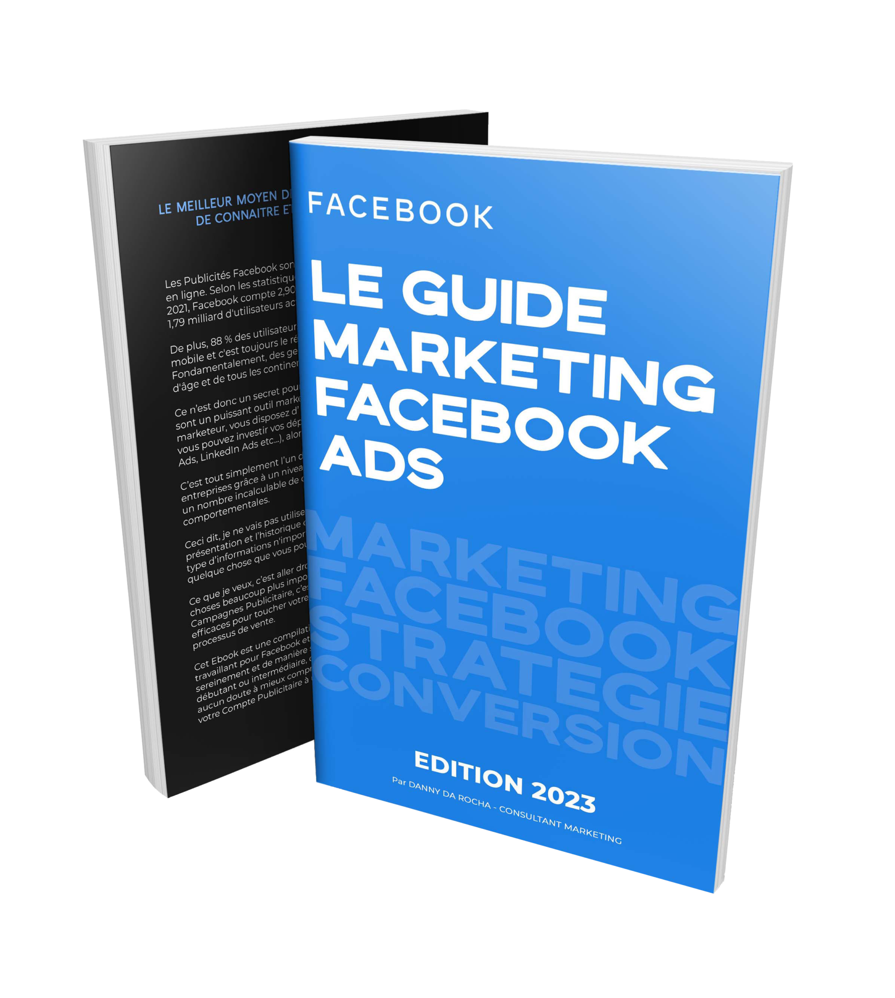 eBook Facebook ads - Devenez un Expert des Pubs en 2025